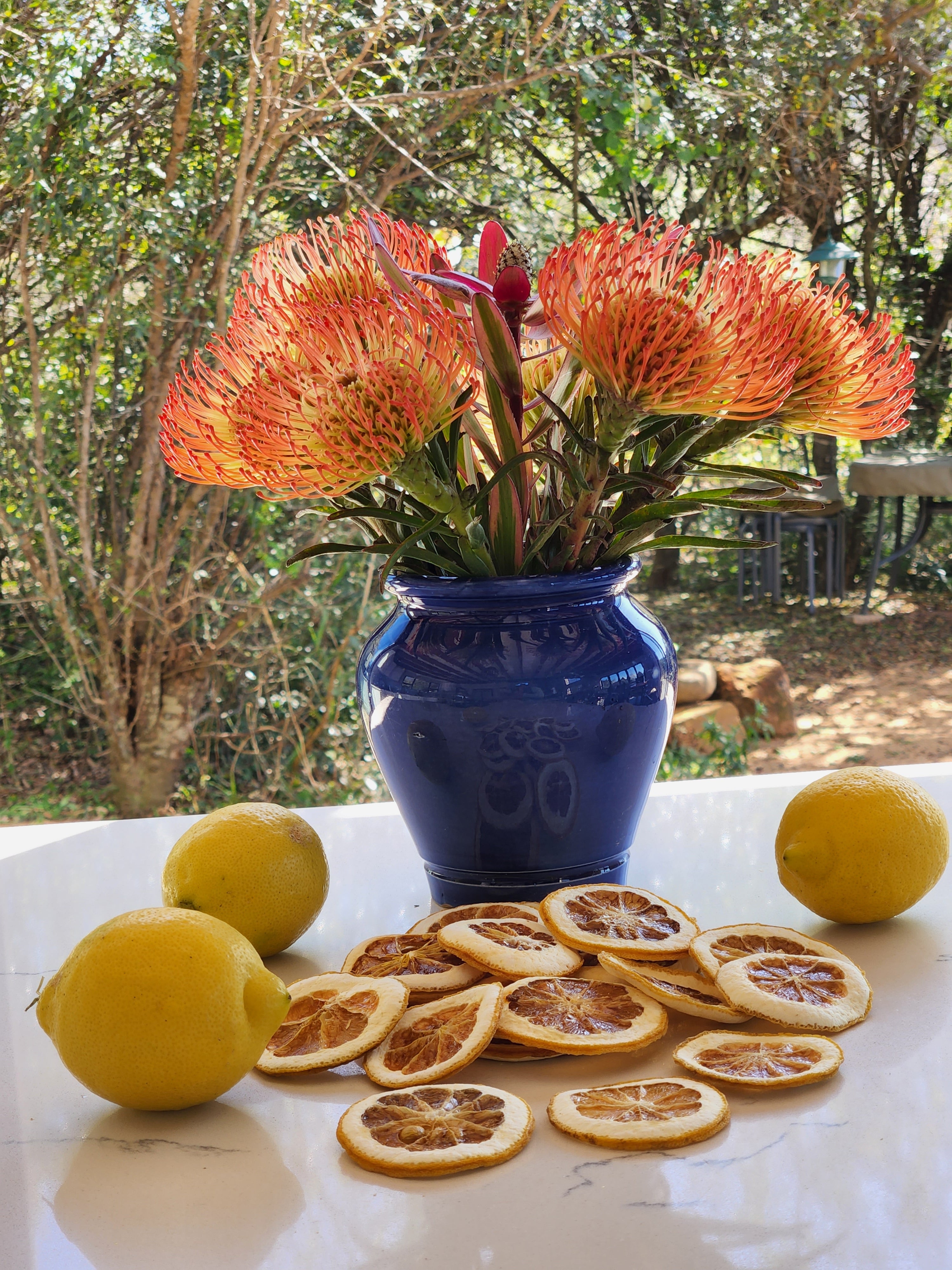 Dehydrated fruit – epic-chow
